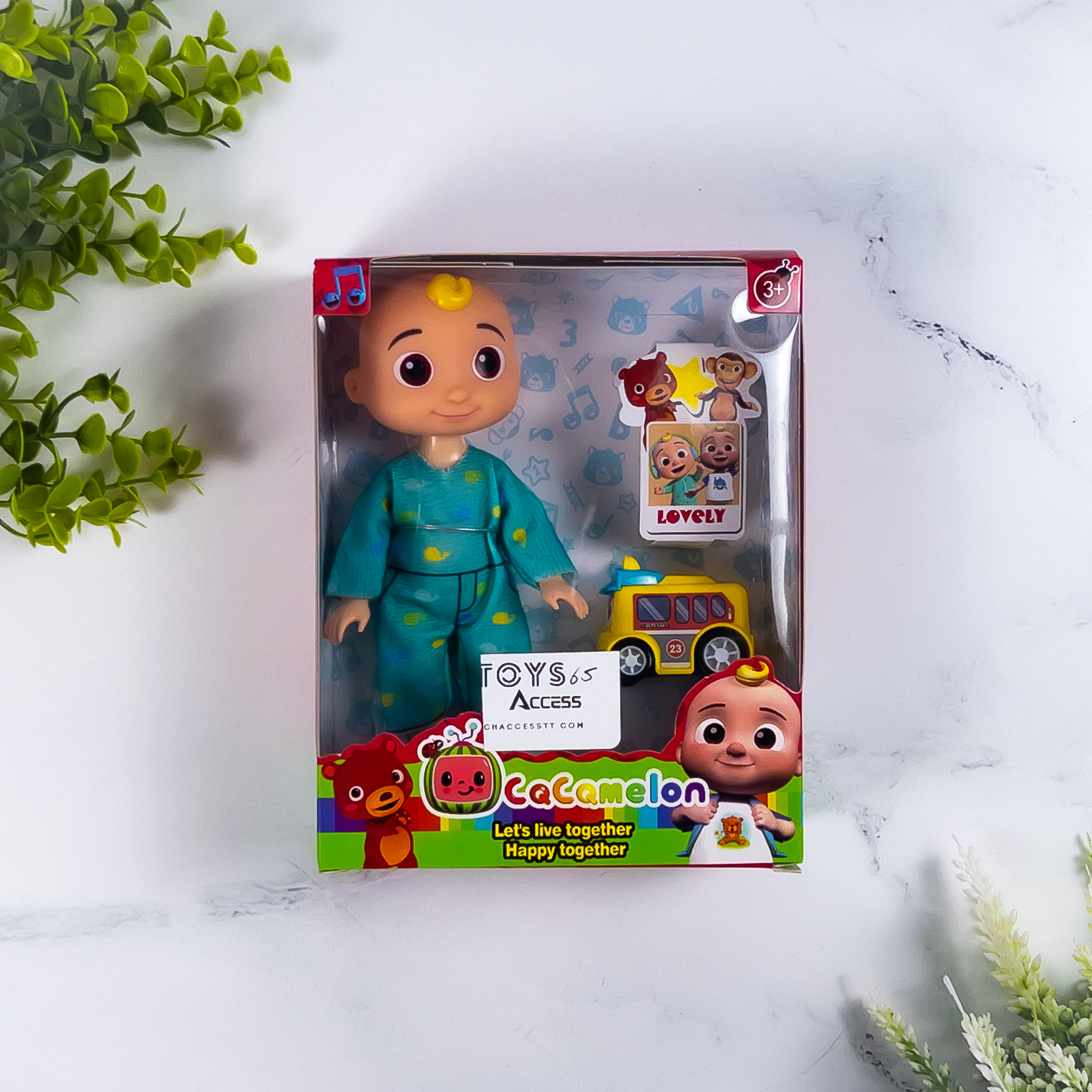 APC_0271 – TechAccessTT