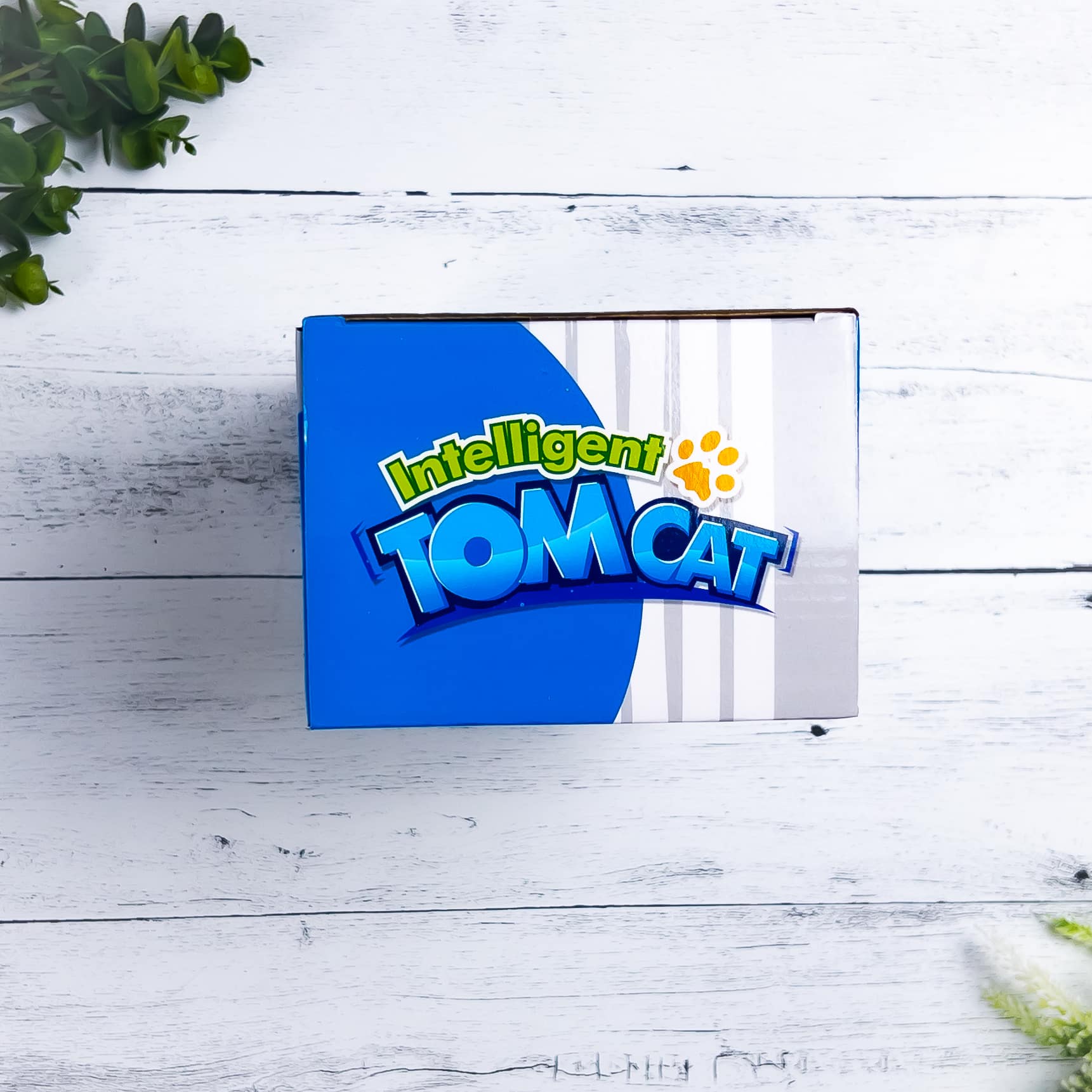 APC_0817 – TechAccessTT