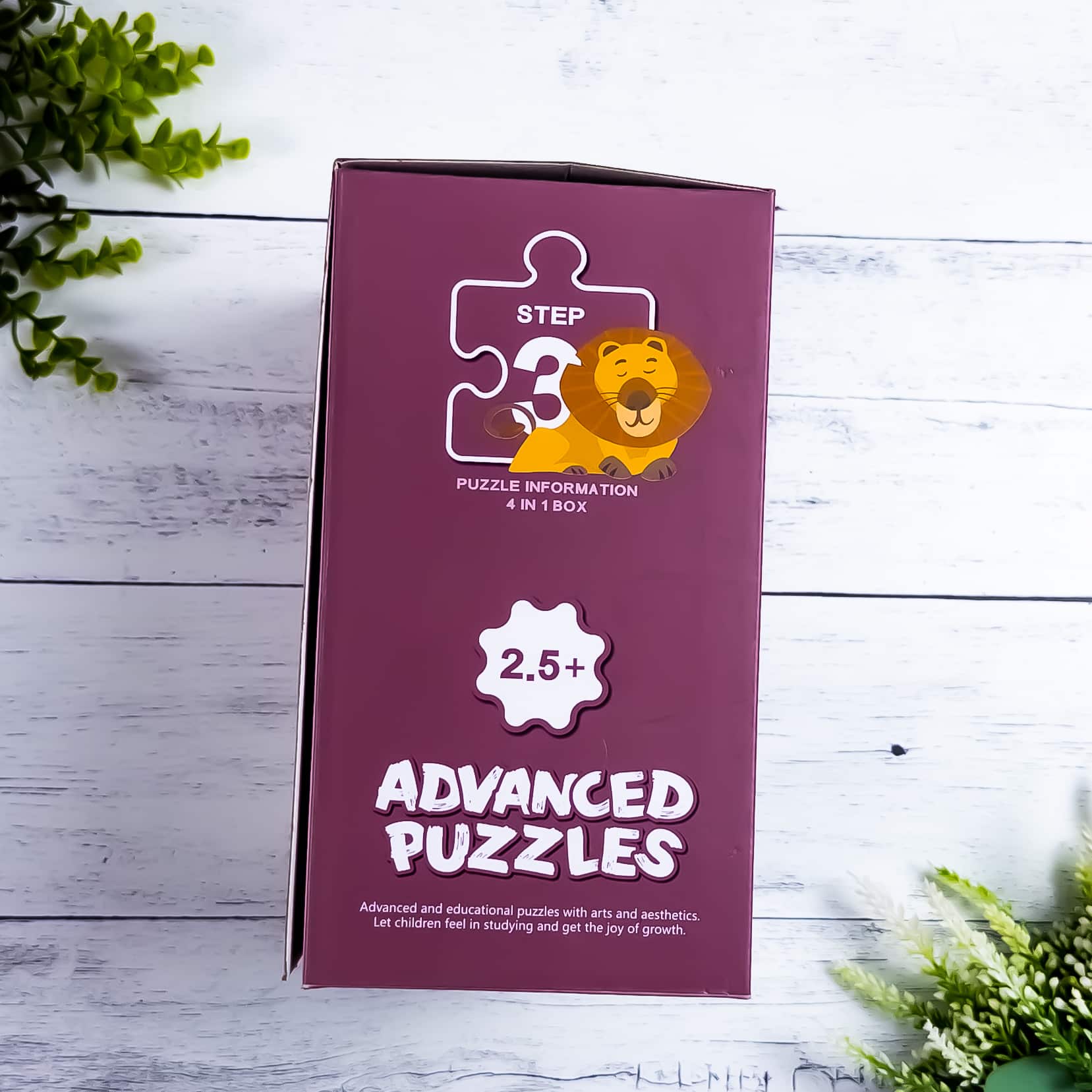 APC_1620 – TechAccessTT